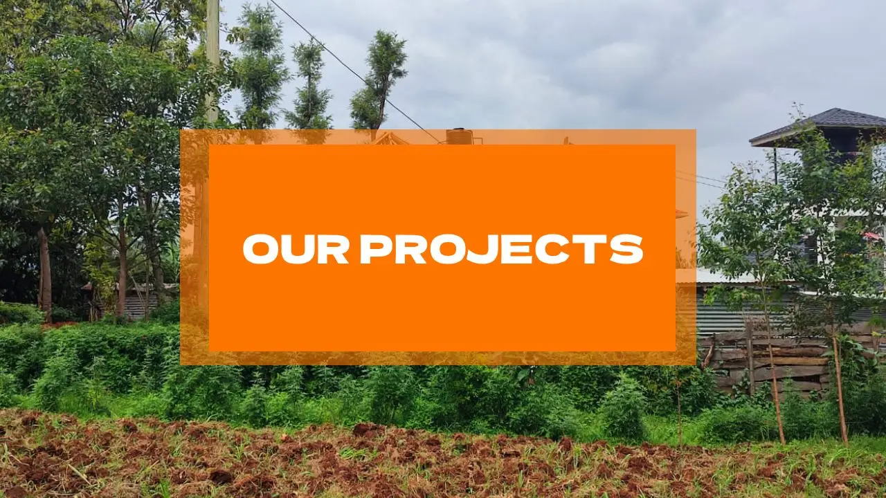 Our Projects